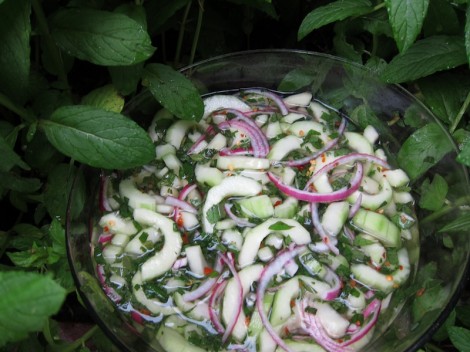 MINT/MOJITO/CUCUMBER SALAD | Sweet Leisure