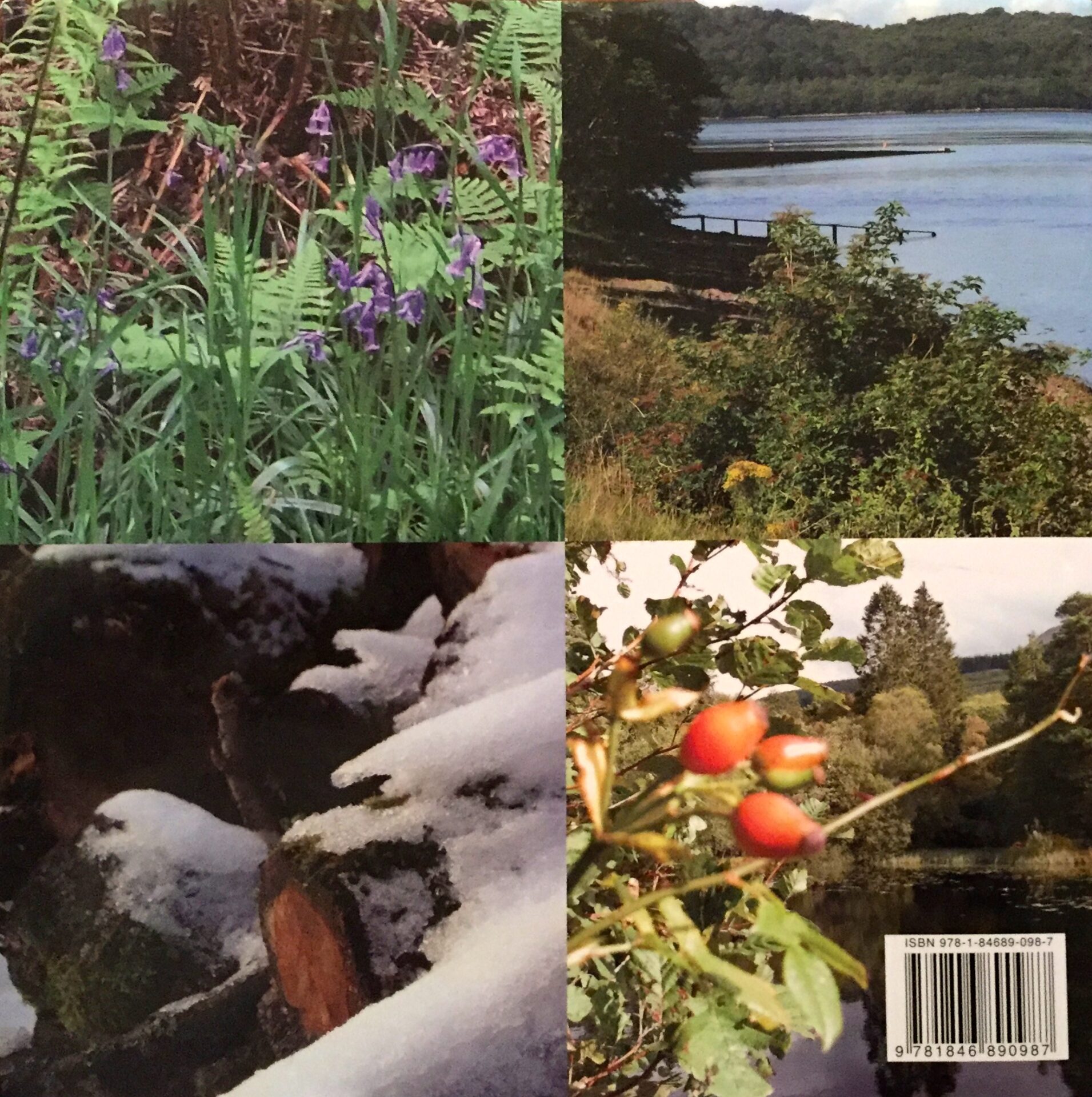 INVERAWE and SMOKED SALMON PATE | Sweet Leisure