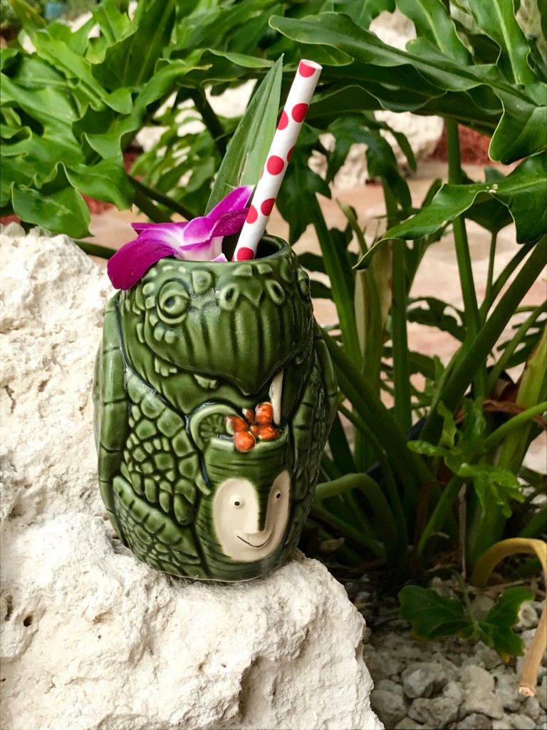 KANE RUM BAR AT MARCO ISLAND FLORIDA | Sweet Leisure