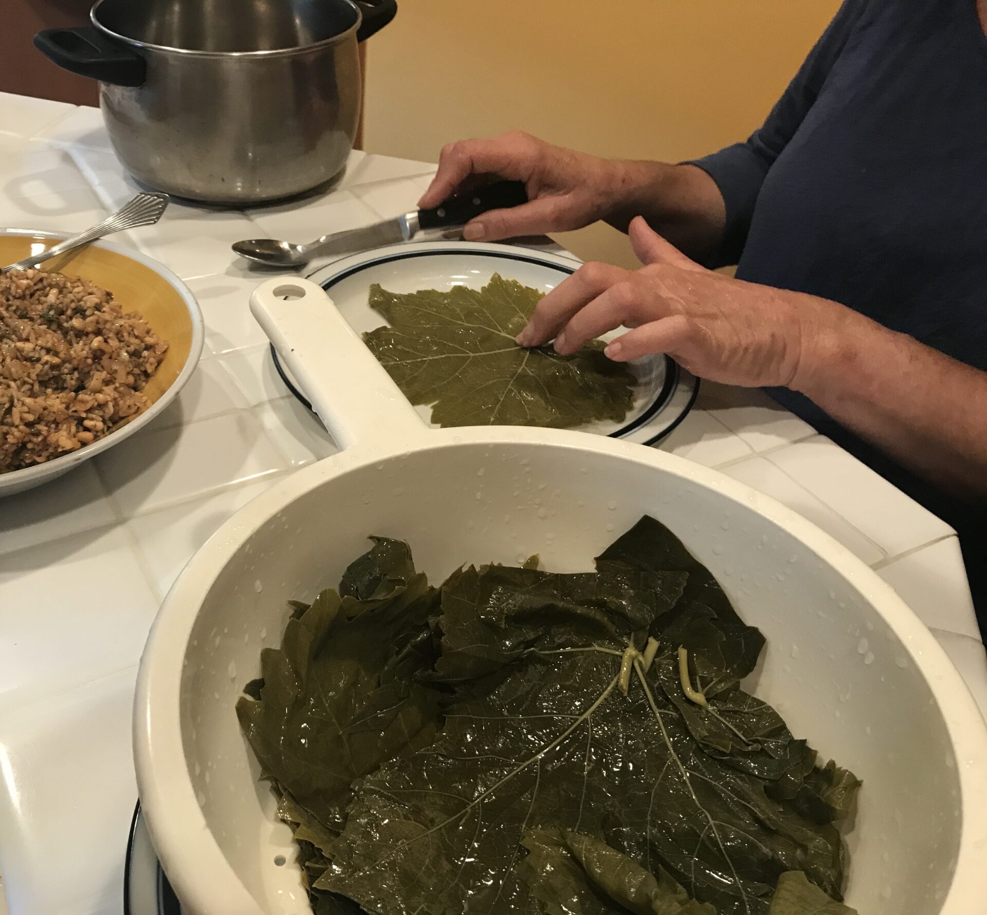 YALANCHI SARMA by NANCY MEHAGIAN | Sweet Leisure